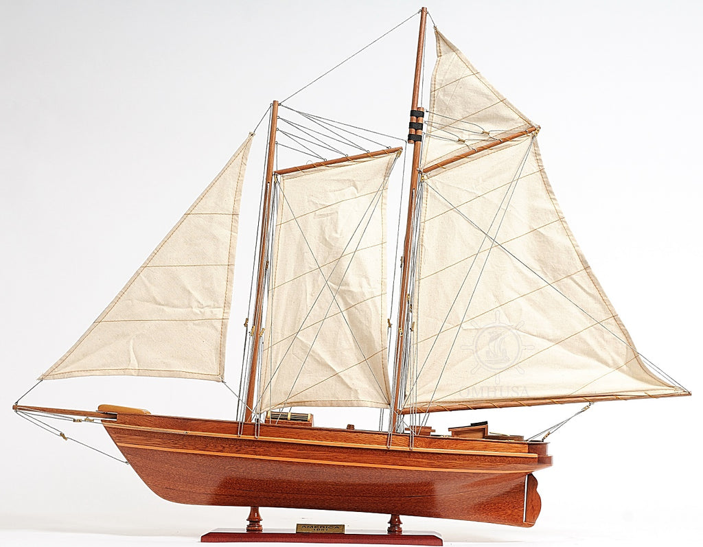 Buy America Cup Racing Yacht Fully Assembled Model Fully Assembled ...